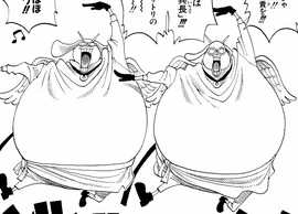 Hotori et Kotori | One Piece Encyclopédie | Fandom