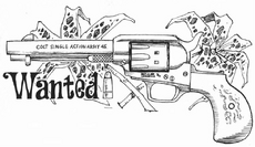 Firearm | One Piece Wiki | Fandom