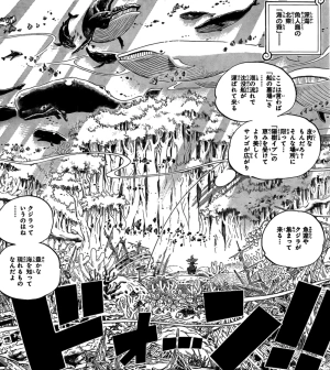 Floresta do Mar | One Piece Wiki | Fandom