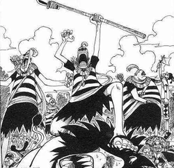 Kumate Kabilesi | One Piece Wiki | Fandom