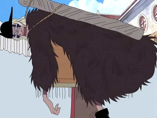 Doc Q | OnePiecePedia | Fandom