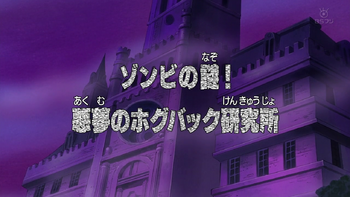 Episode 342 | One Piece Wiki | Fandom