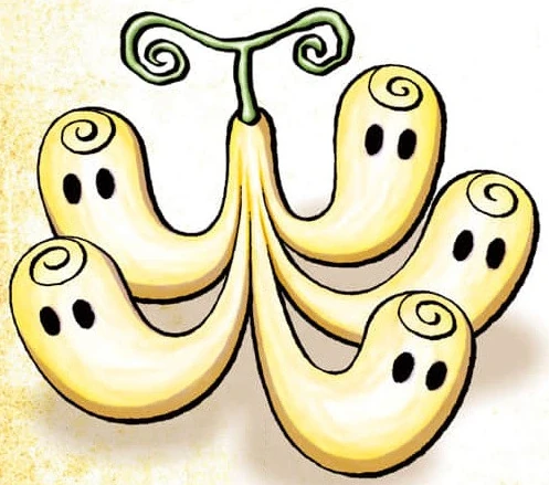 Horo Horo no Mi | One Piece Wiki | Fandom