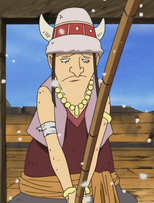 Race | One Piece Wiki | Fandom