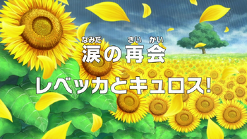 Episode 696 | One Piece Wiki | Fandom