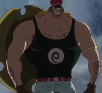 Machvise | One Piece Wiki Italia | Fandom