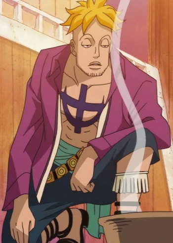Marco | One Piece Wiki | Fandom