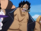 Fossa | One Piece Wiki | Fandom