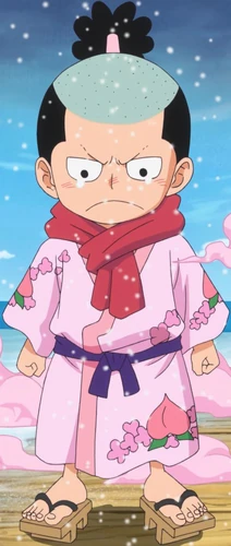 Kozuki Momonosuke | One Piece Wiki | Fandom