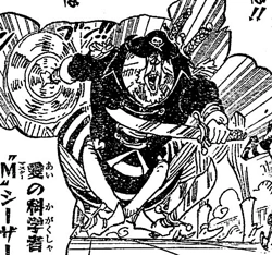 Run | One Piece Encyclopédie | Fandom