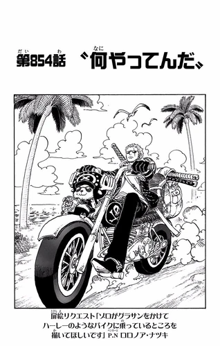 Chapter 854 | One Piece Wiki | Fandom
