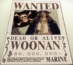 Woonan | One Piece Wiki | Fandom