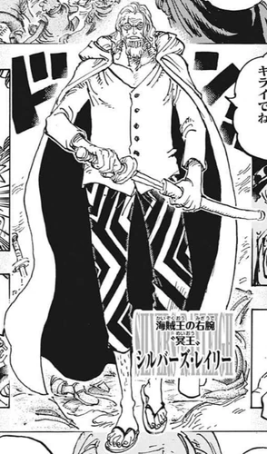 Silvers Rayleigh | One Piece Wiki | Fandom