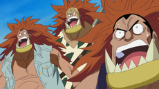 Little Oars Jr. | One Piece Wiki | Fandom