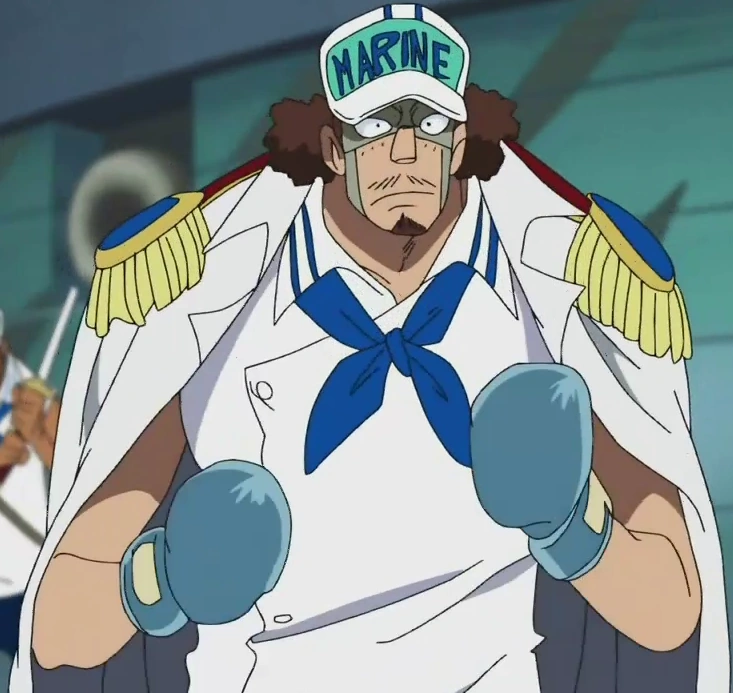 Glove | One Piece Wiki | Fandom