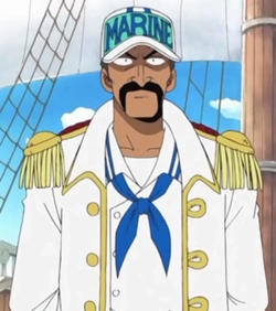 Lieutenant Commandant | One Piece Encyclopédie | Fandom