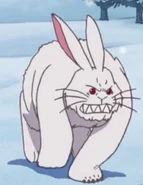 Gatunki zwierząt/Paradise | One Piece Wiki | Fandom