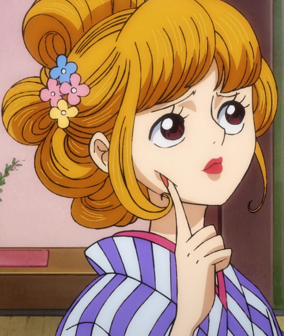 Category:Flower Capital Residents - The One Piece Wiki - Manga, Anime ...