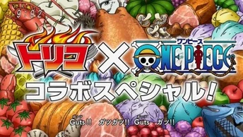 Episodio 492 | One Piece Wiki | Fandom