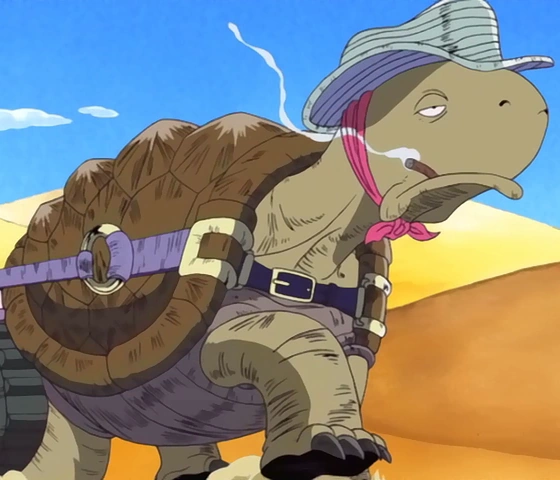 Bunch | One Piece Wiki Italia | Fandom