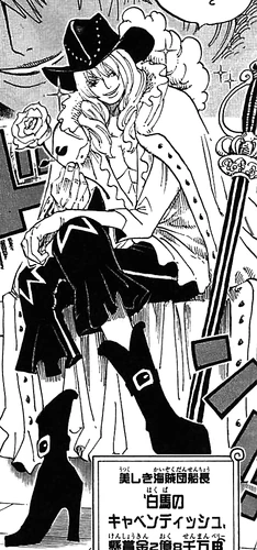 Cavendish | One Piece Wiki | Fandom