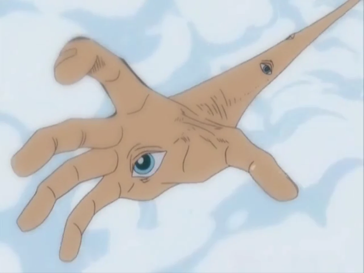 Ojos fleur | One Piece Wiki | Fandom