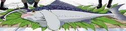 Animal Species/East Blue Saga | One Piece Wiki | Fandom