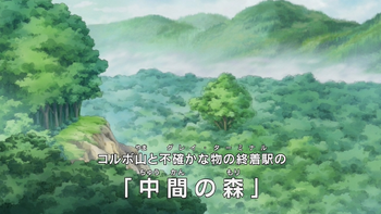 Bosque Intermedio | One Piece Wiki | Fandom