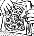 Harley | One Piece Wiki | Fandom