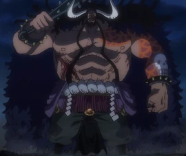 Kaidou | One Piece Encyclopédie | Fandom