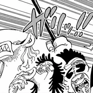 Discuss Everything About One Piece Wiki | Fandom