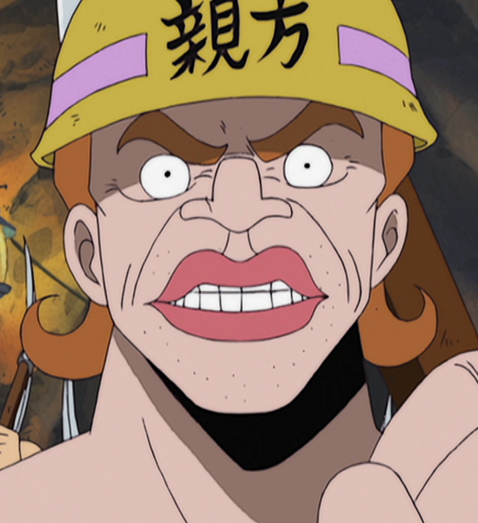 Oyakata | One Piece Encyclopédie | Fandom