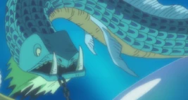 Scales | One Piece Wiki | Fandom