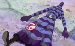 Zeo | One Piece Wiki | Fandom