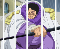 Issho | One Piece Wiki | Fandom