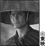 SBS Volume 92 | One Piece Wiki | Fandom