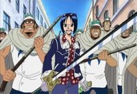 Tashigi | One Piece Wiki | Fandom