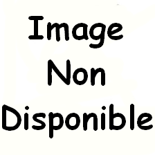 South Blue | One Piece Encyclopédie | Fandom