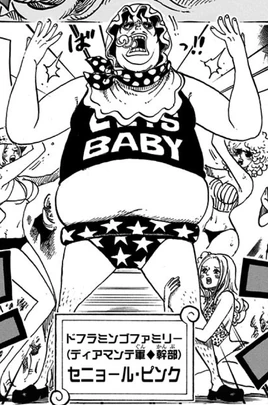 Senor Pink | One Piece Wiki | Fandom
