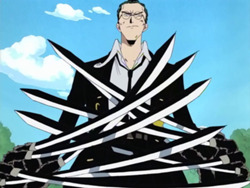 Griffes de Chat | One Piece Encyclopédie | Fandom