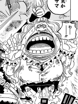 Pound | One Piece Encyclopédie | Fandom
