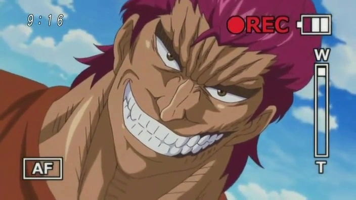 Zebra | One Piece Wiki | Fandom