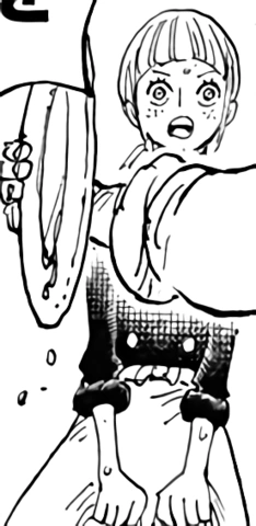 Cosette | One Piece Encyclopédie | Fandom