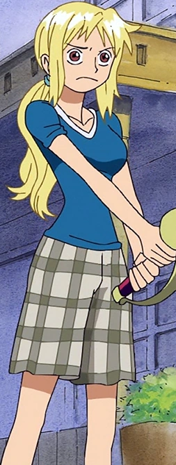 Silk | One Piece Wiki | Fandom