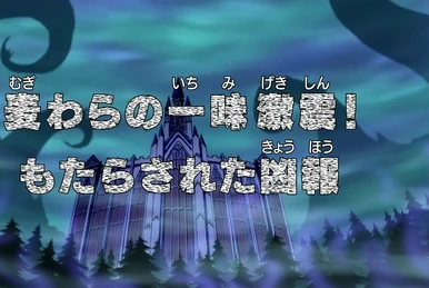 One Piece Episode 508