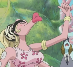 Octopako | One Piece Wiki Italia | Fandom