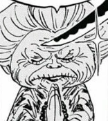 Chocho | One Piece Encyclopédie | Fandom