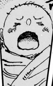 Colon | One Piece Wiki | Fandom