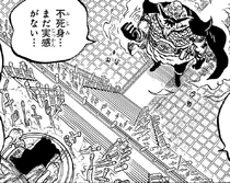 Harald | One Piece Wiki | Fandom