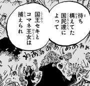 Seki | One Piece Wiki | Fandom